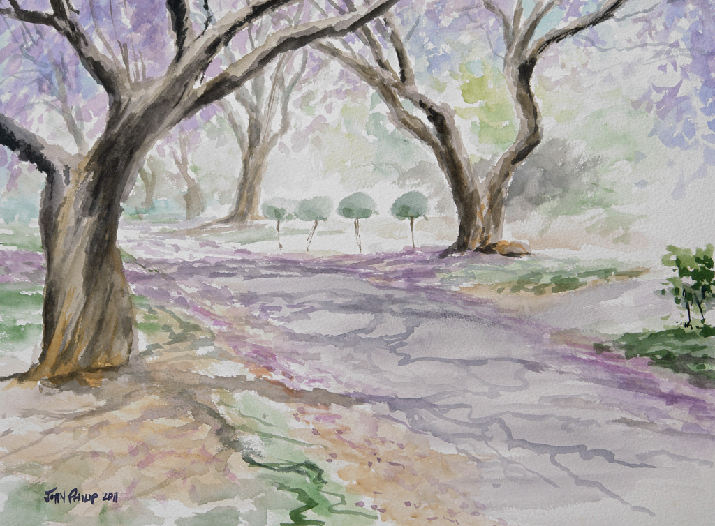 Sketching the Jacaranda's | John Philip