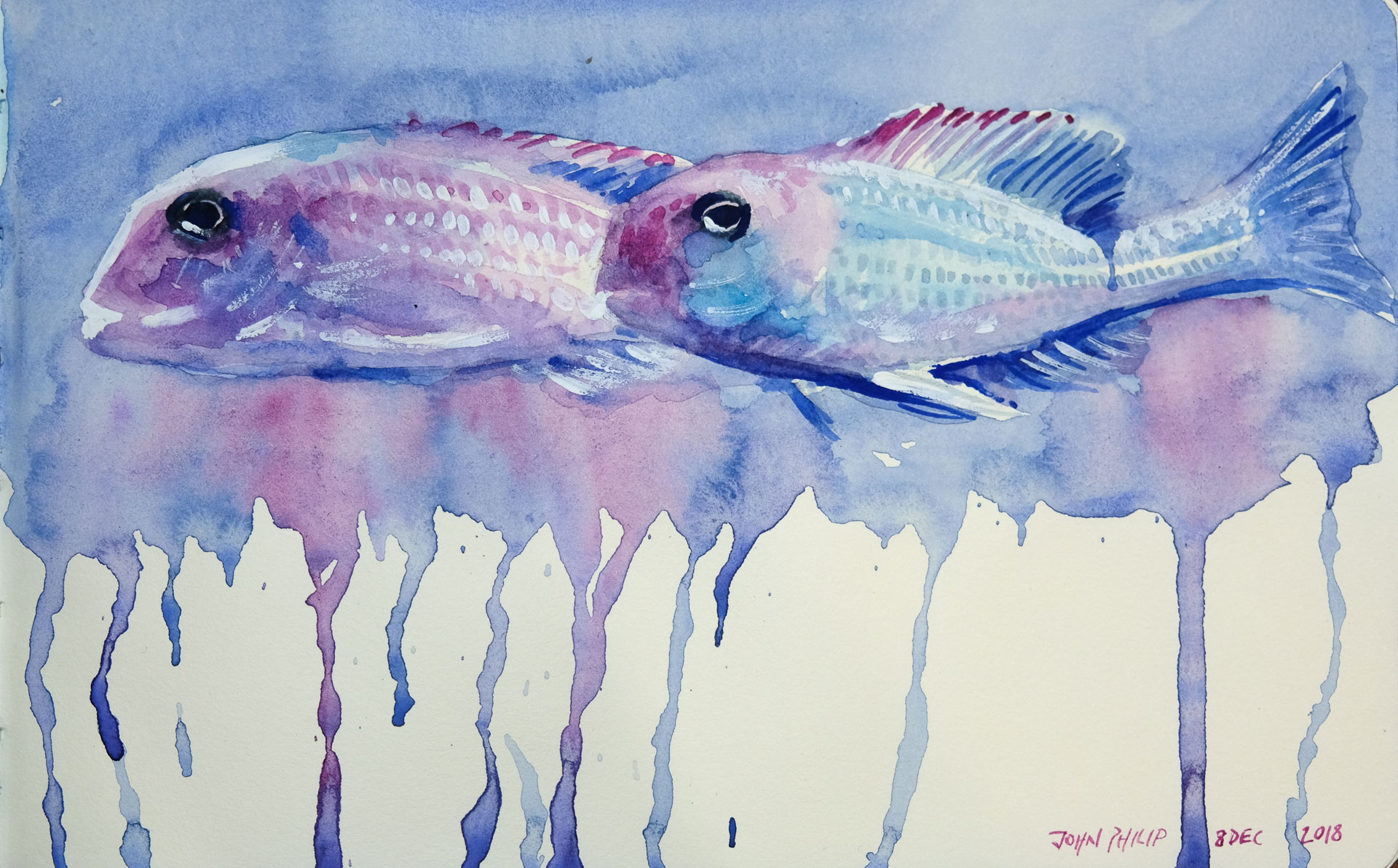Pink and Purple Fish – John Philip
