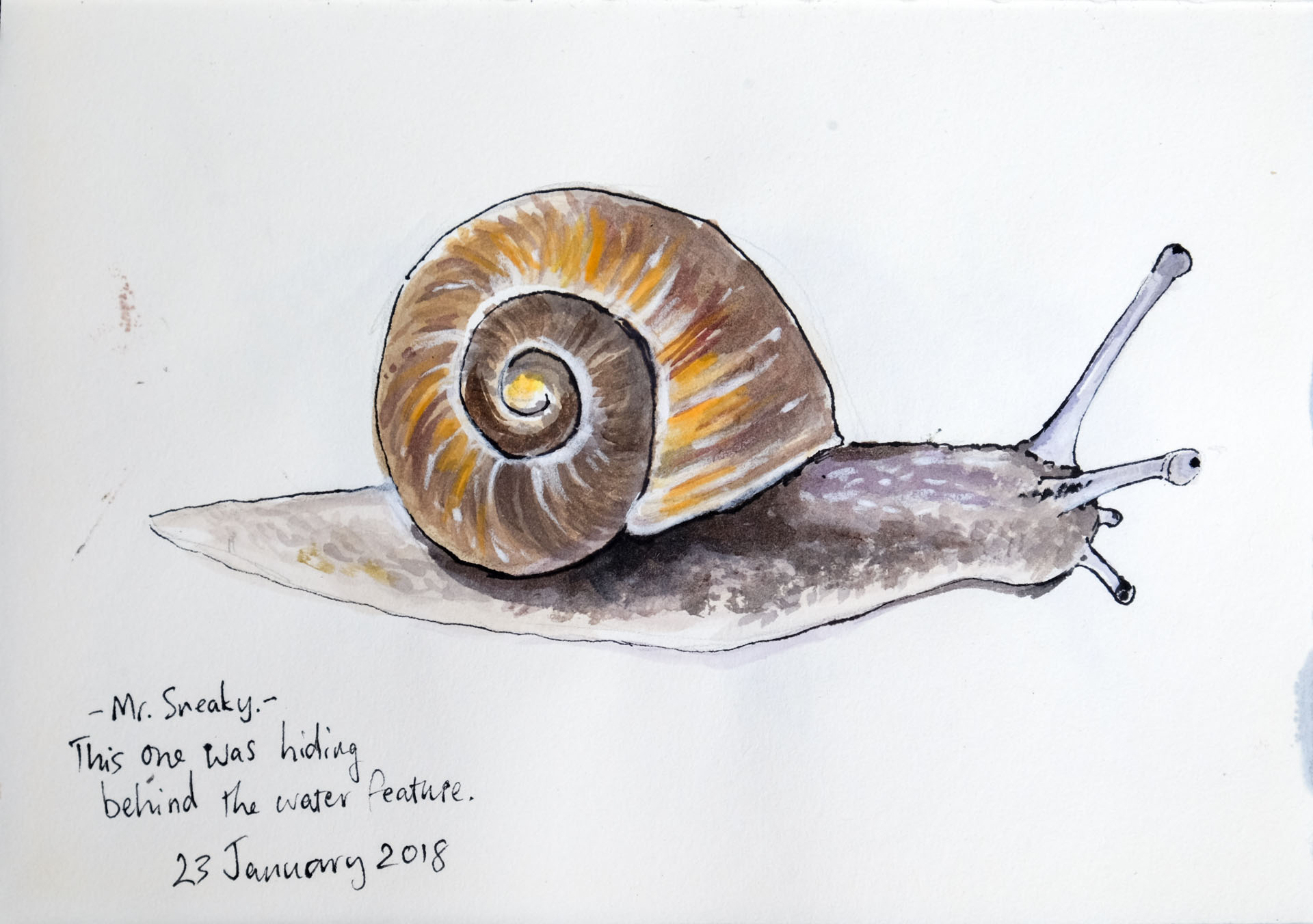 Sneaky Snail – John Philip