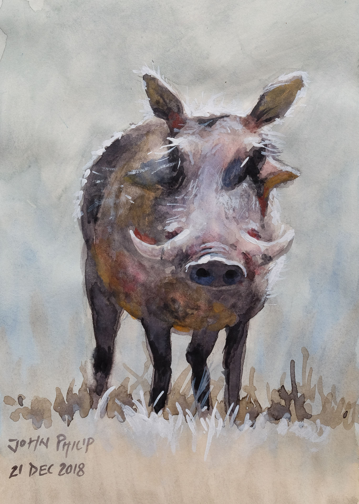 Old Warthog – John Philip
