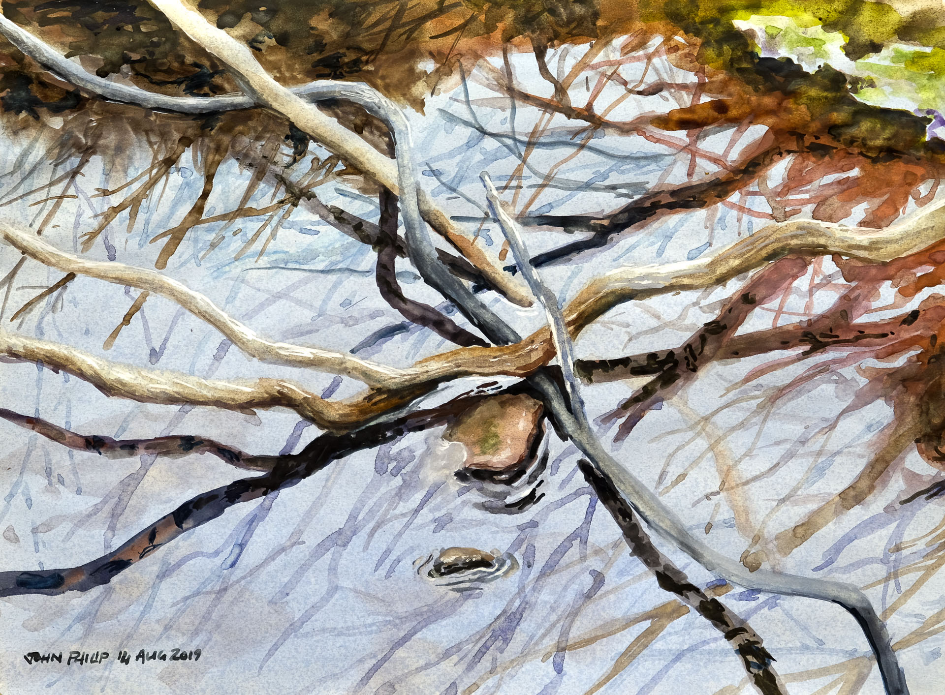 Puddle Reflections – John Philip