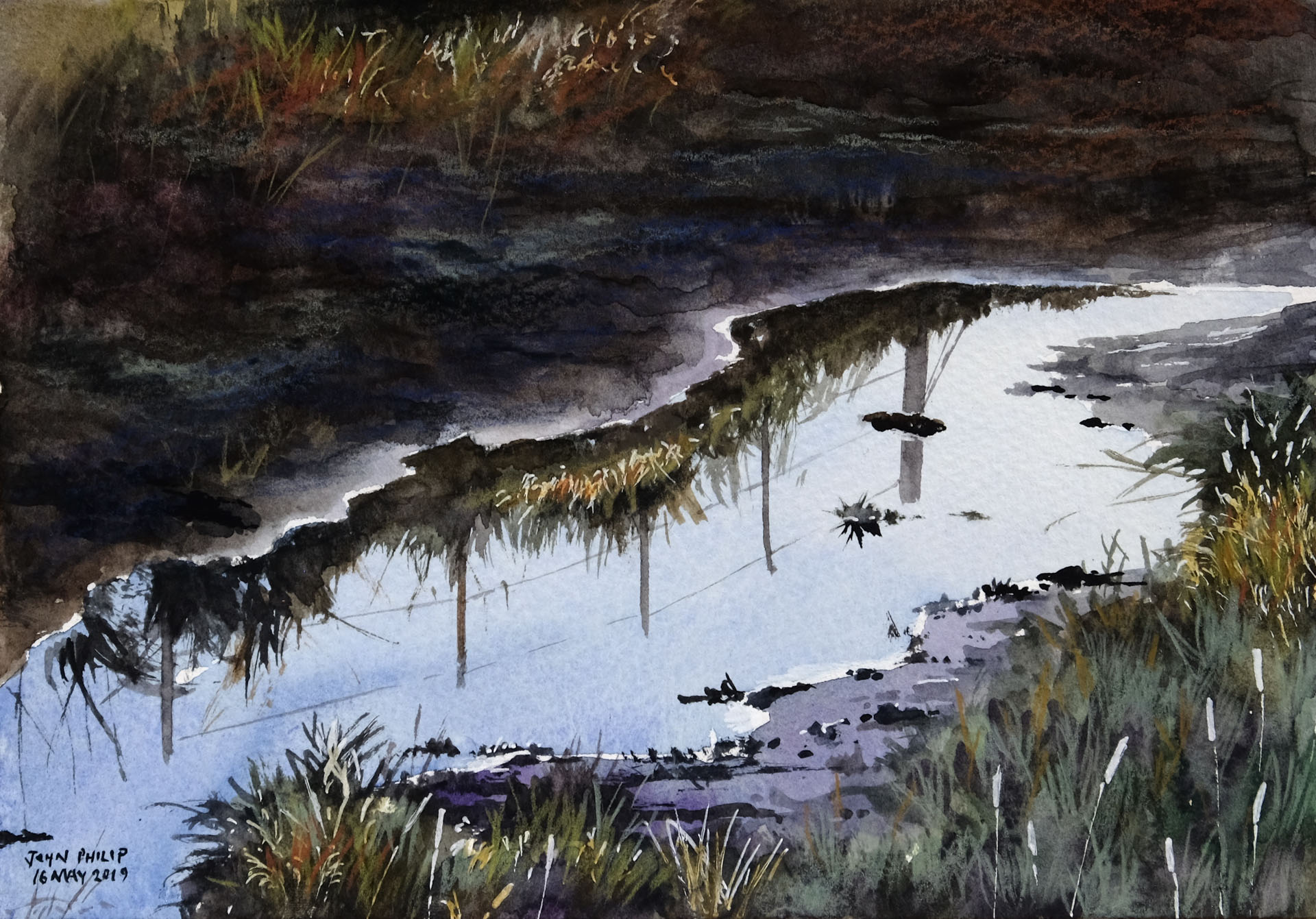 Puddle with Fence Reflection – John Philip