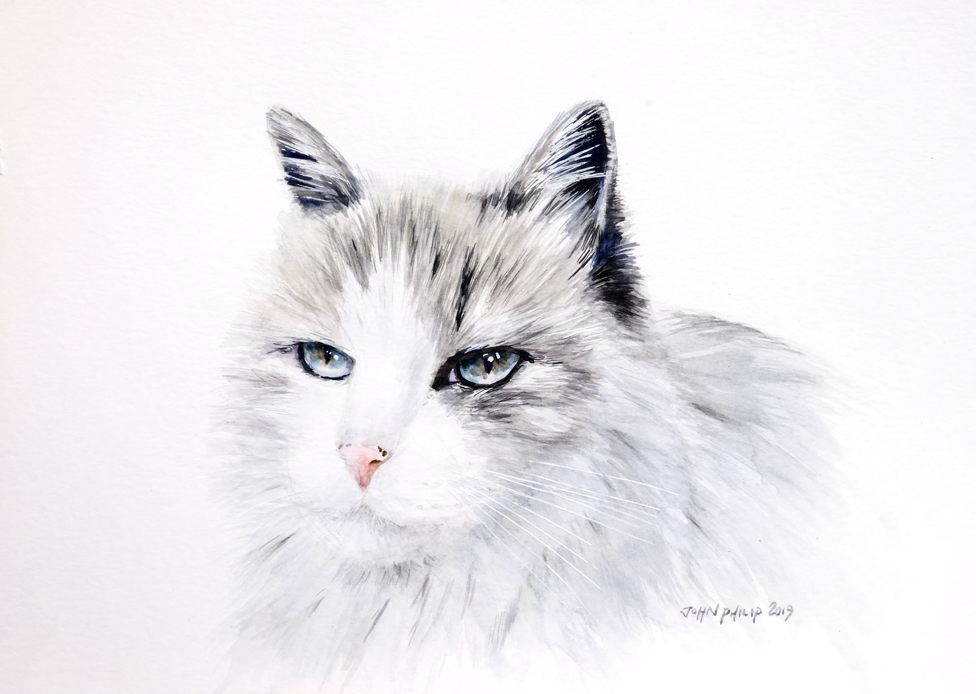 Tinky the Cat – John Philip