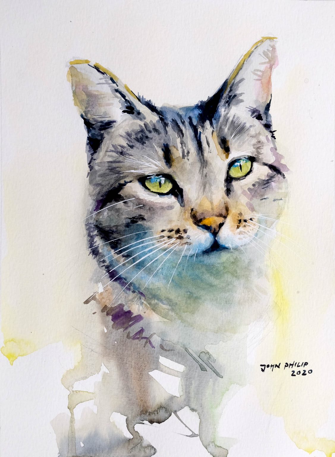 Jenny the Cat – John Philip
