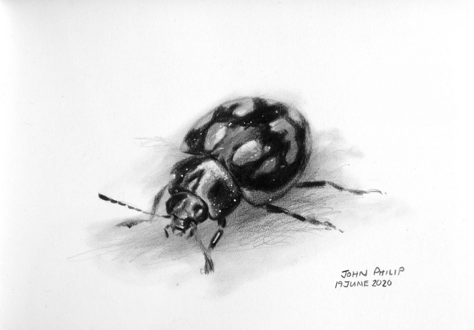 John Philip – Art, Painting, Drawing