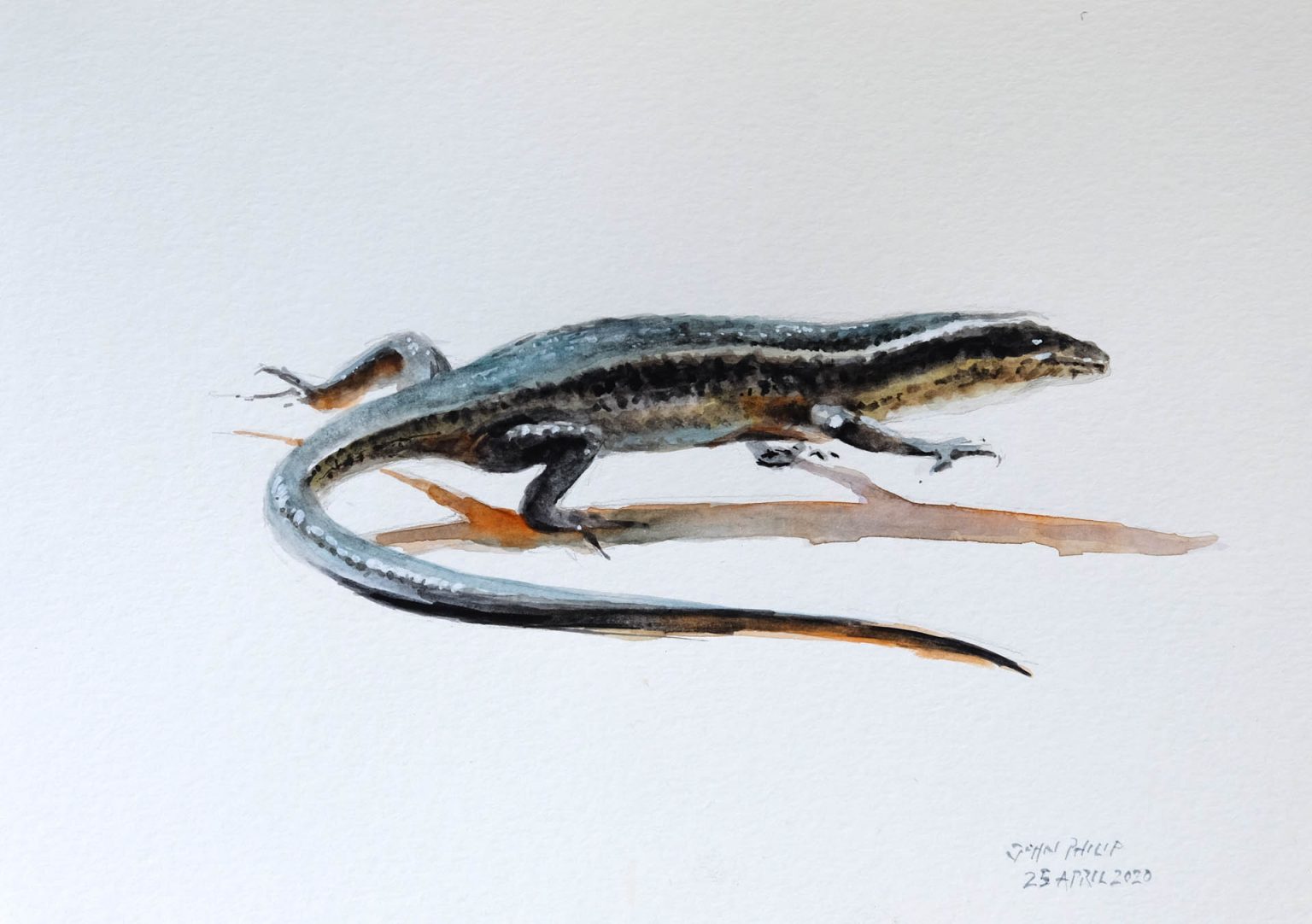 John Philip – Art, Painting, Drawing