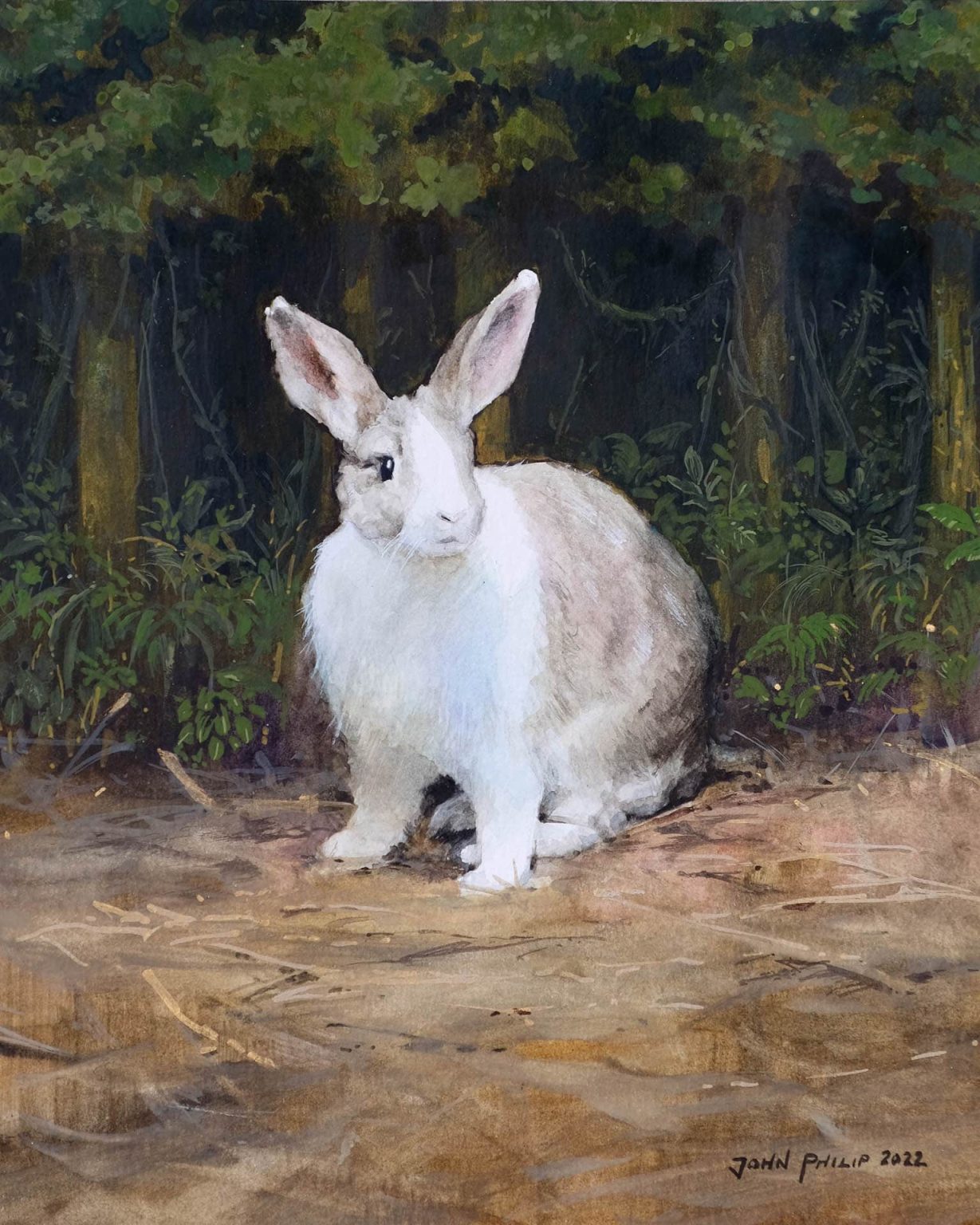 John Philip – Art, Painting, Drawing